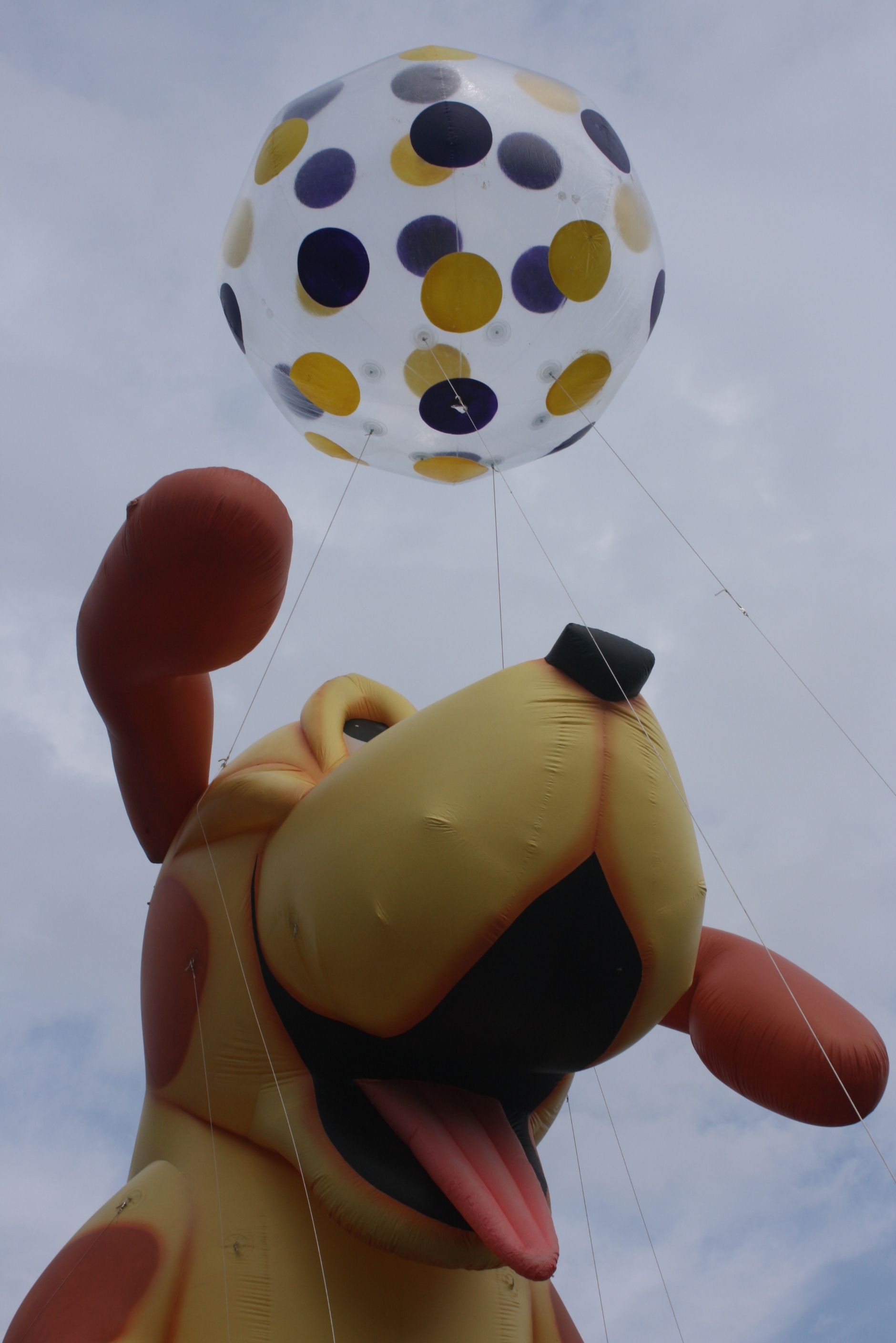 Happy Puppy Parade Balloon - Fabulous Inflatables, Helium Parade