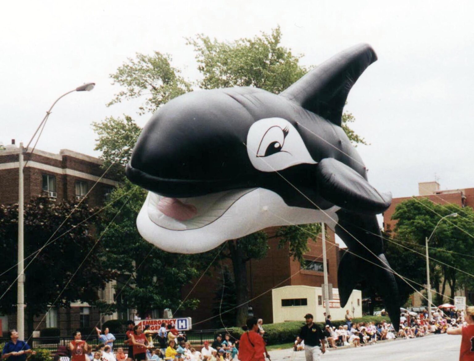 Happy Orca Whale Parade Balloon - Fabulous Inflatables, Ocean Balloons ...