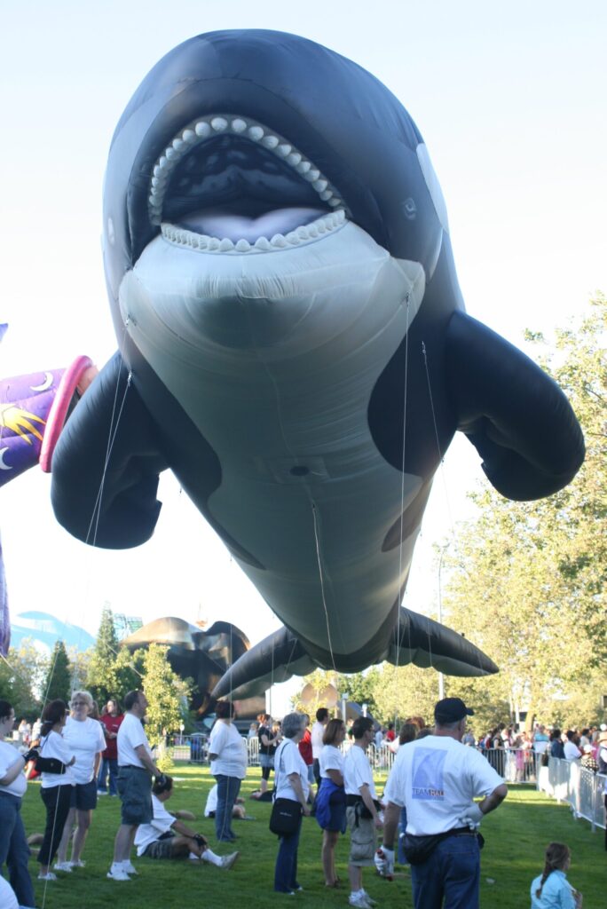 Orca Whale Parade Balloon (Realistic), 45' - Fabulous Inflatables