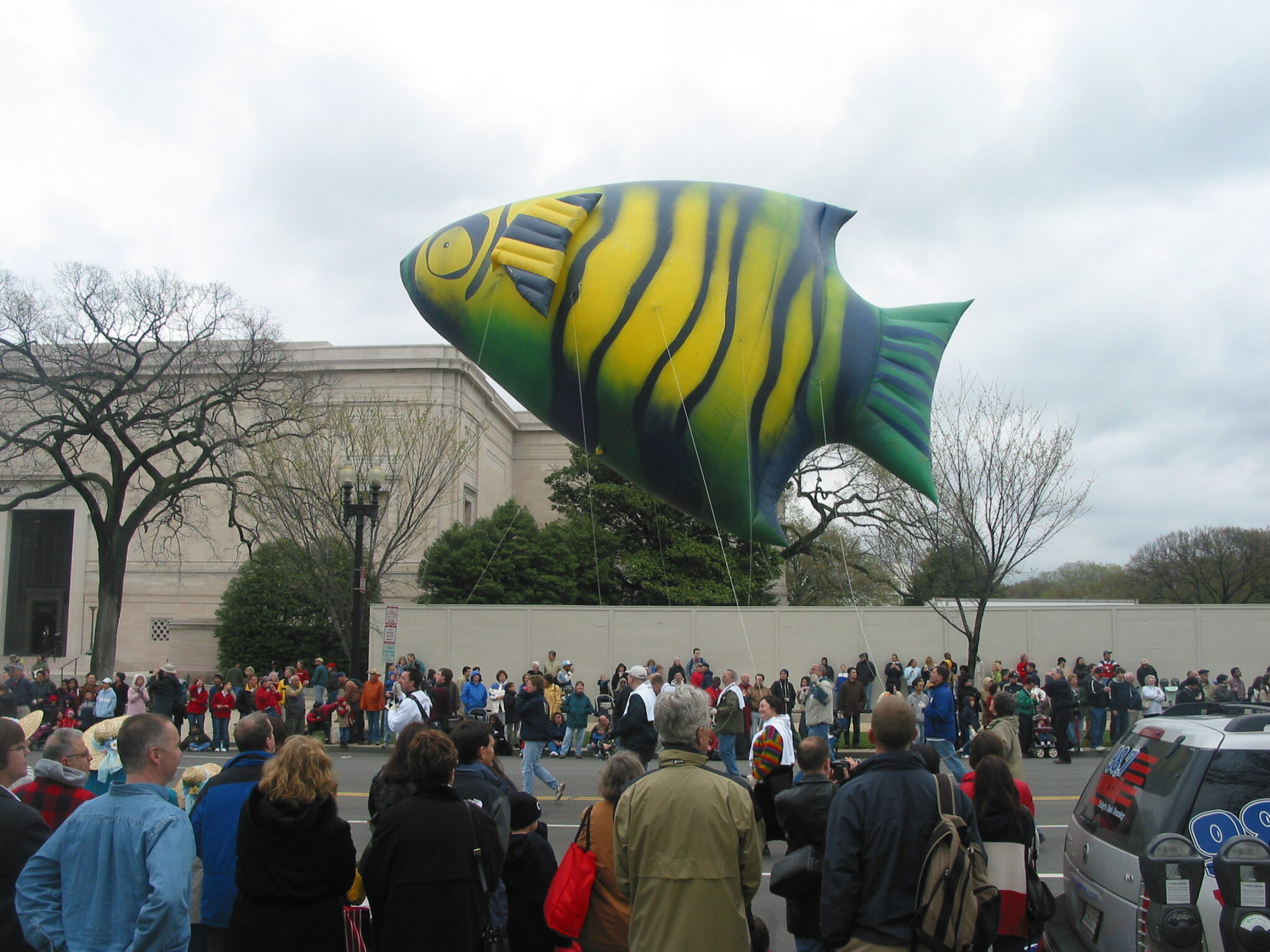 Angel Fish Parade Balloon - Fabulous Inflatables, Ocean Animals