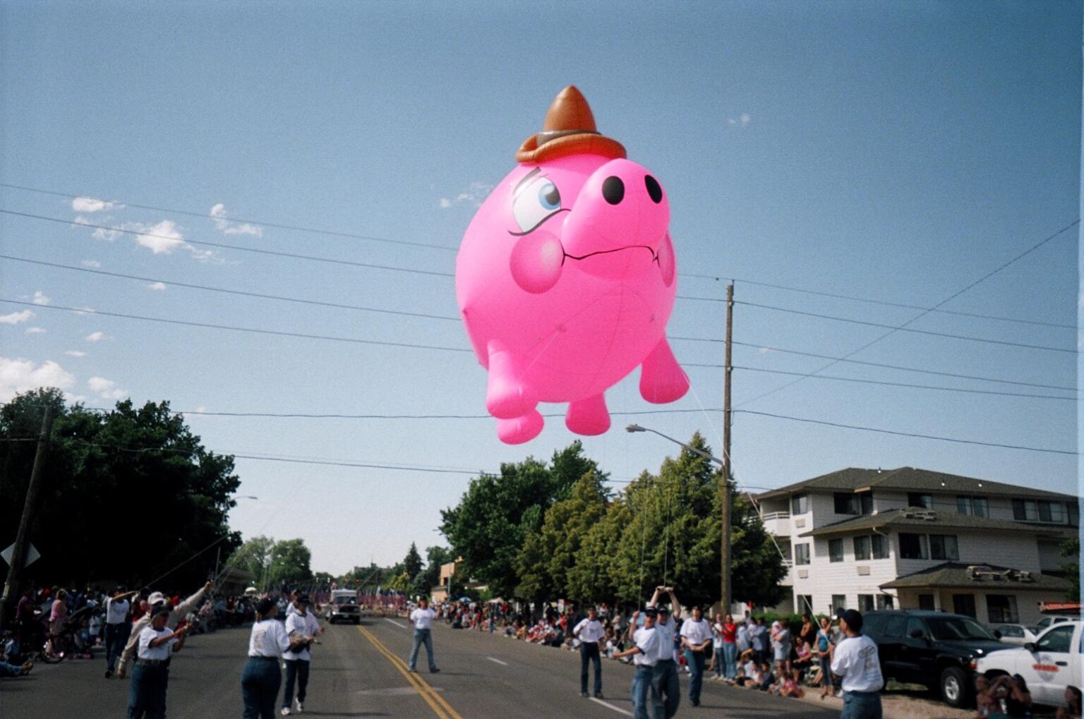 Piggy Bank Parade Balloon, 20' - Fabulous Inflatables, Animal Parade