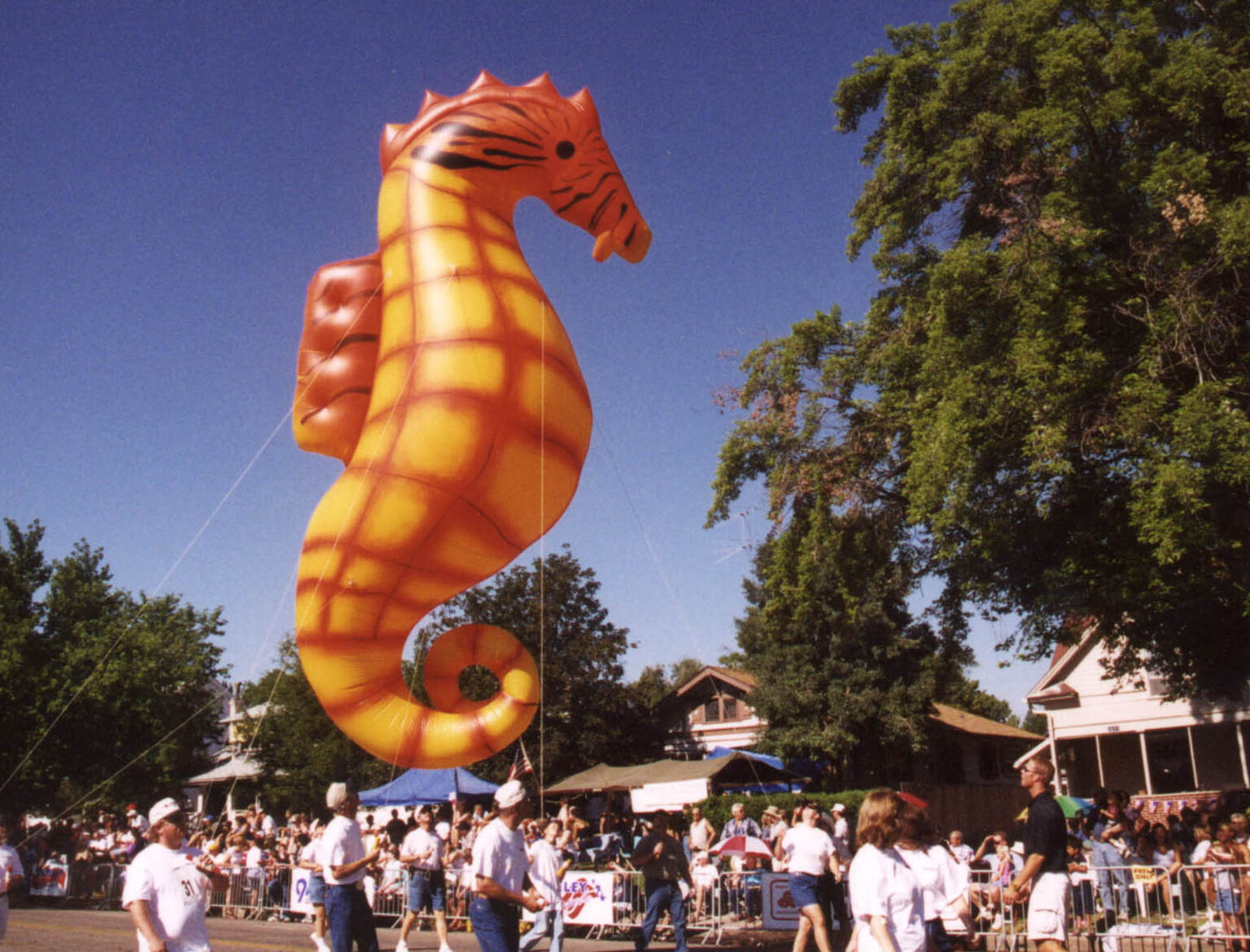 Seahorse Parade Balloon, 25' - Fabulous Inflatables, Under the Sea