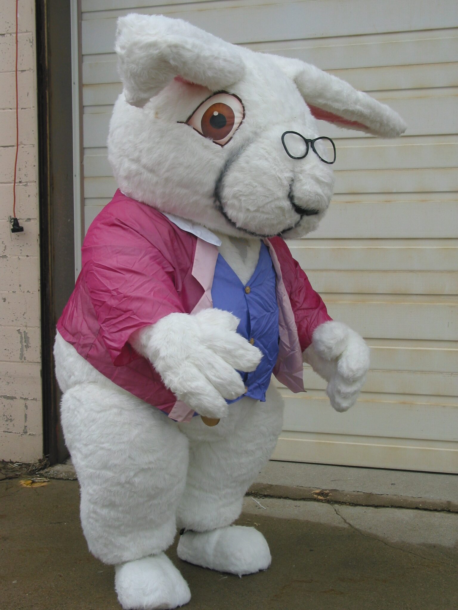 White Rabbit Inflatable Costume