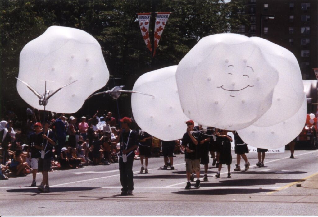 Geese and Clouds Parade Set